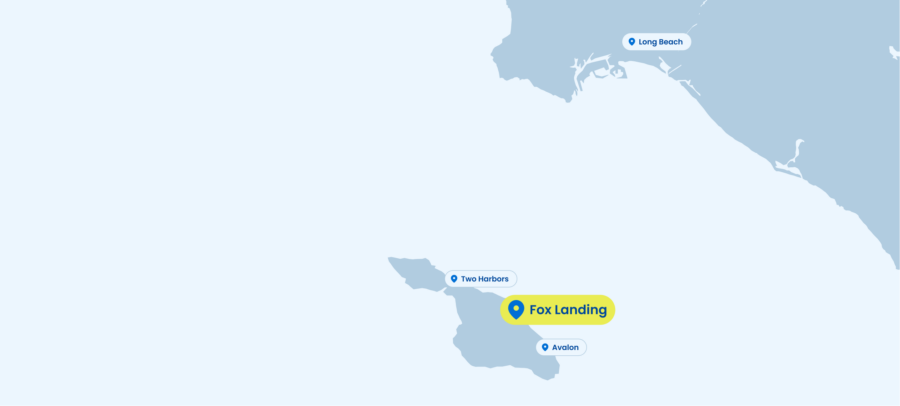 Fox Landing - Catalina Island Marine Institute