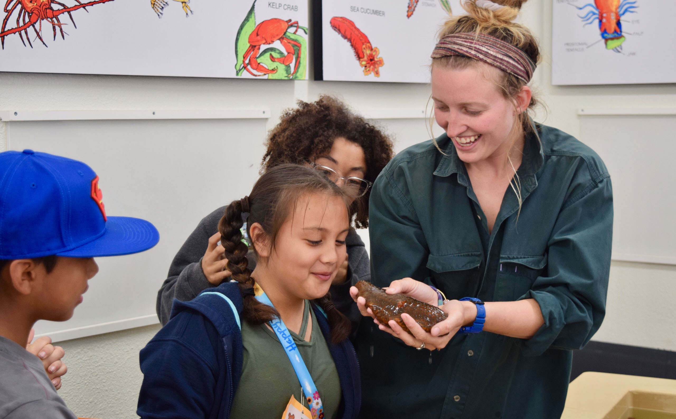 Daytime Activities - Catalina Island Marine Institute