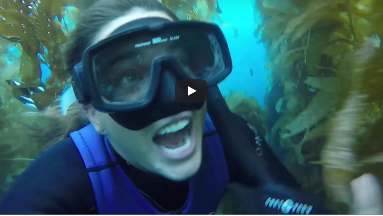 Blog - Catalina Island Marine Institute