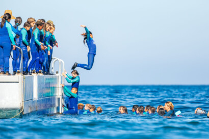 Catalina Island Marine Institute – Outdoor Science School